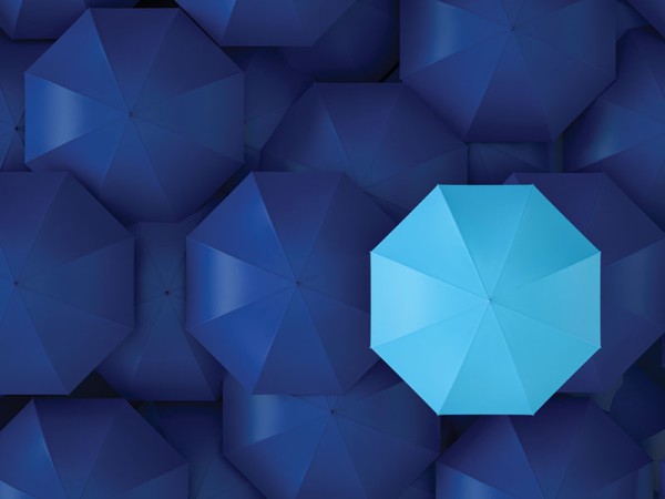 Prime's Resources - Prime Sign Program